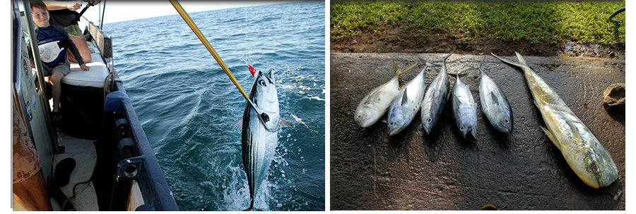 Las Flores Resort :: Tour de Pesca